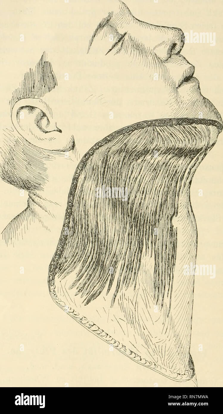 Schulter anatomie hi-res stock photography and images - Alamy
