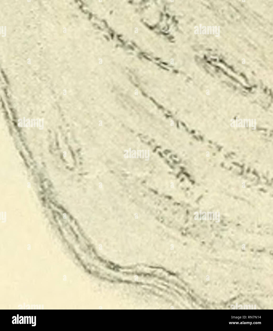 Vescicole hi-res stock photography and images - Alamy