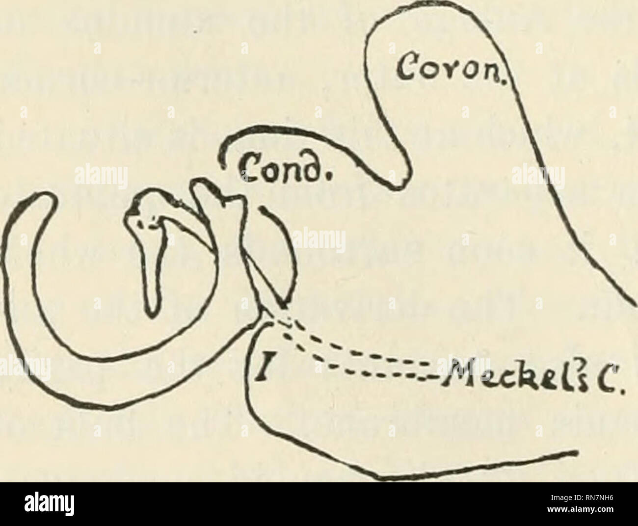 Panic shaped hi-res stock photography and images - Alamy