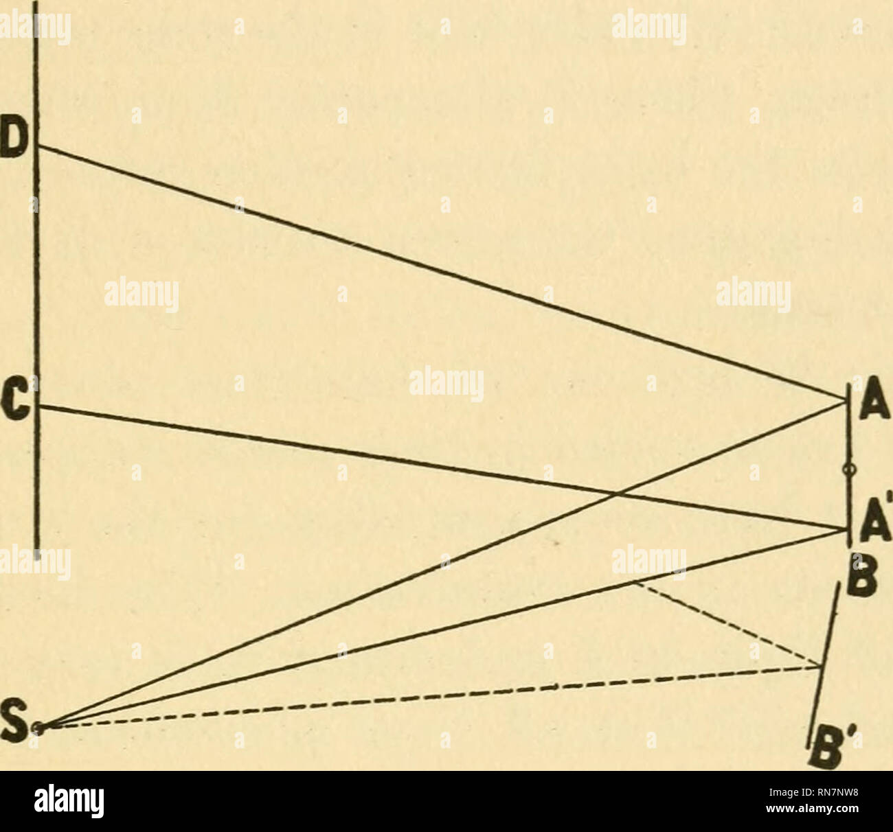 . The anatomy of science. Science. LIGHT AND THE QUANTUM 119 on the ...