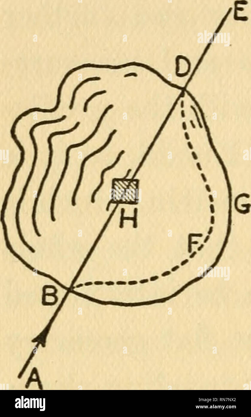 . The anatomy of science. Science. 108 THE ANATOMY OF SCIENCE material ...
