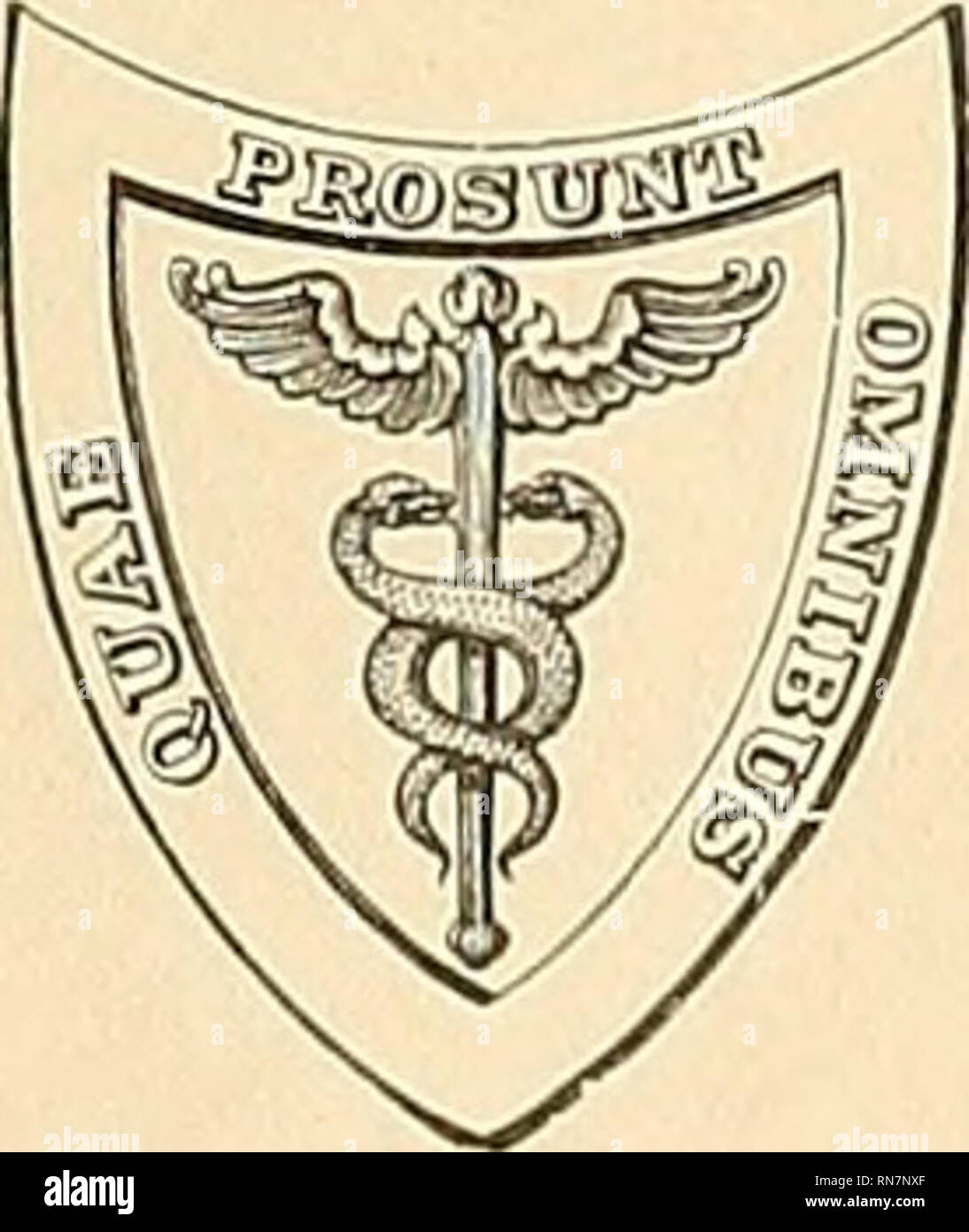 St georges medical school hi-res stock photography and images - Alamy