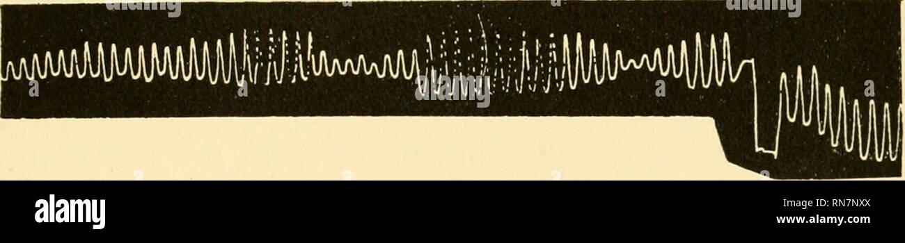 Urodele hi-res stock photography and images - Alamy