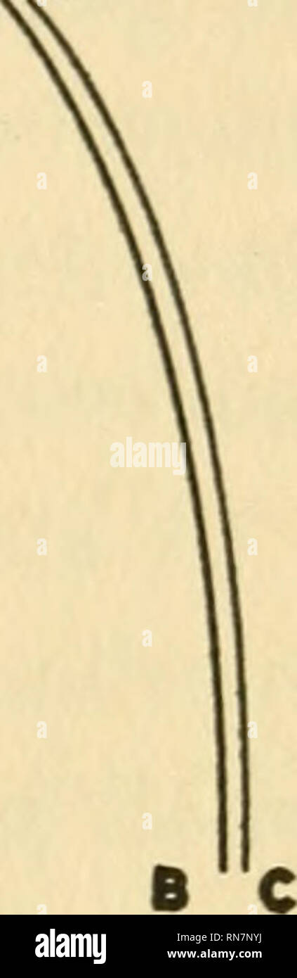 Galileo law of motion hi-res stock photography and images - Alamy