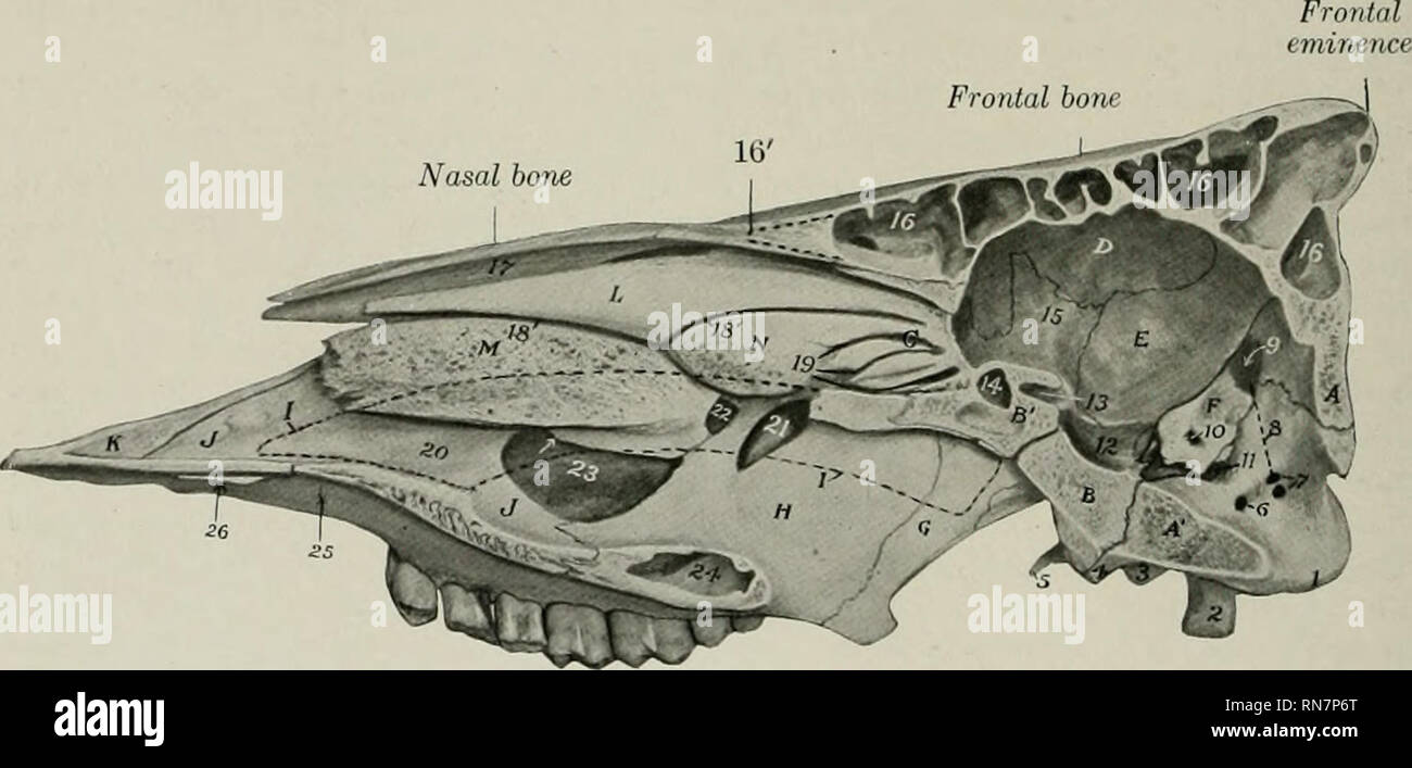 Bulla formation hi-res stock photography and images - Alamy