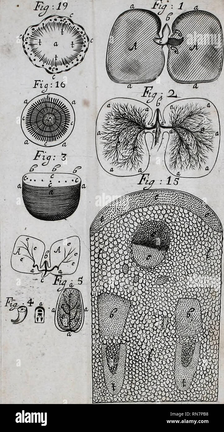 Nehemiah grew hi-res stock photography and images - Alamy