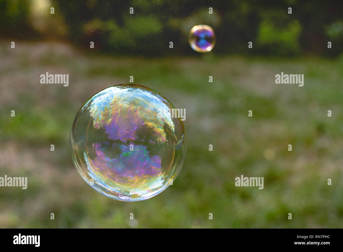 Soap bubbles in a green garden Stock Photo - Alamy