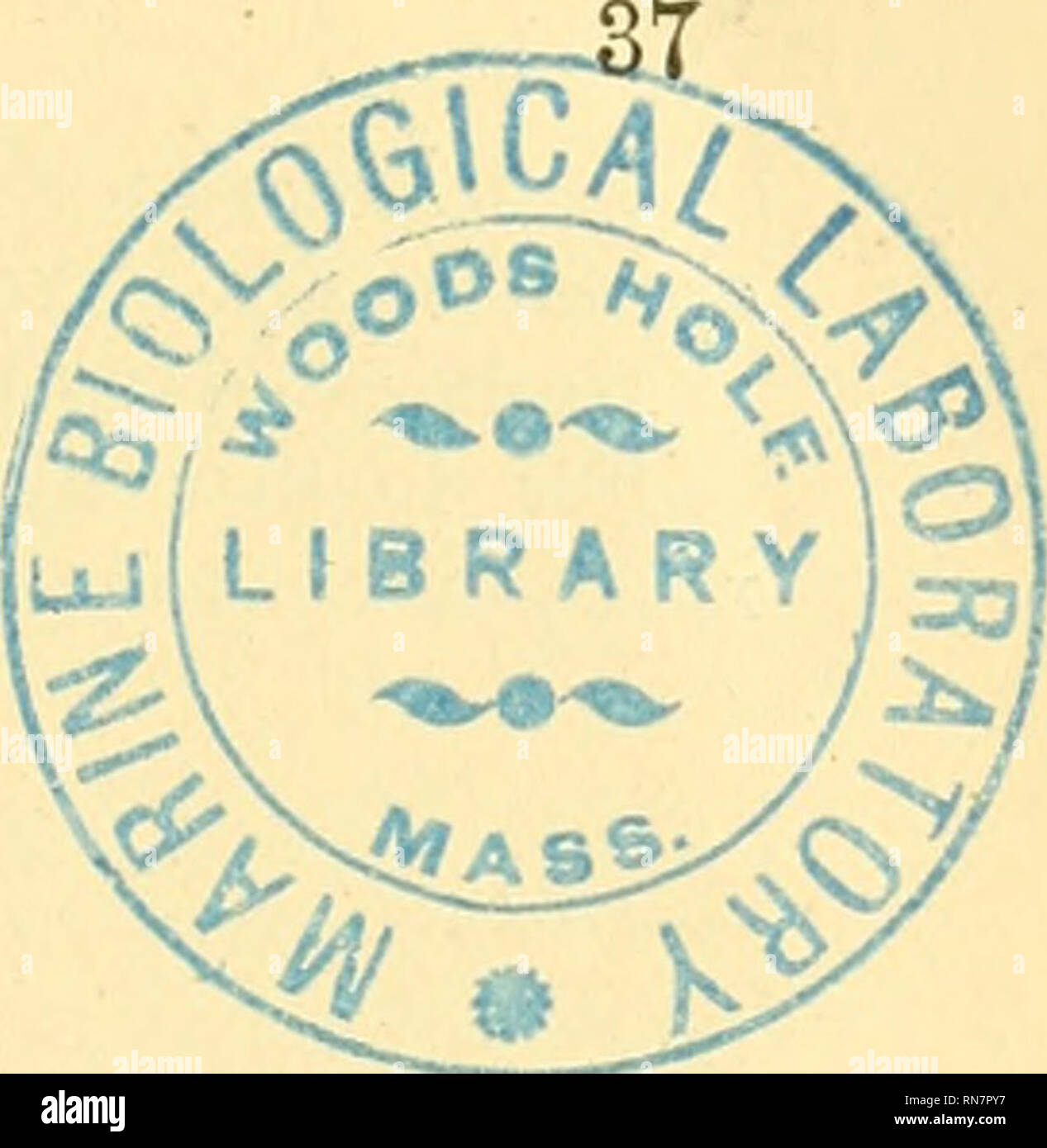 . Anatomy of the invertebrata. Invertebrates. ^ 24. THE POLYPI. Family ...