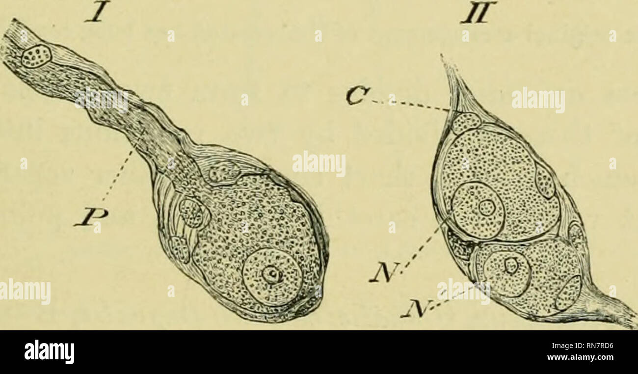 Silver nitrate process hi-res stock photography and images - Alamy