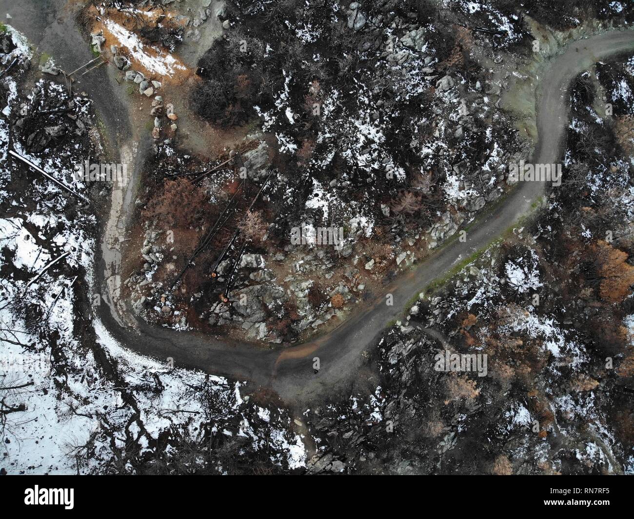 Fire above the trees hi-res stock photography and images - Alamy