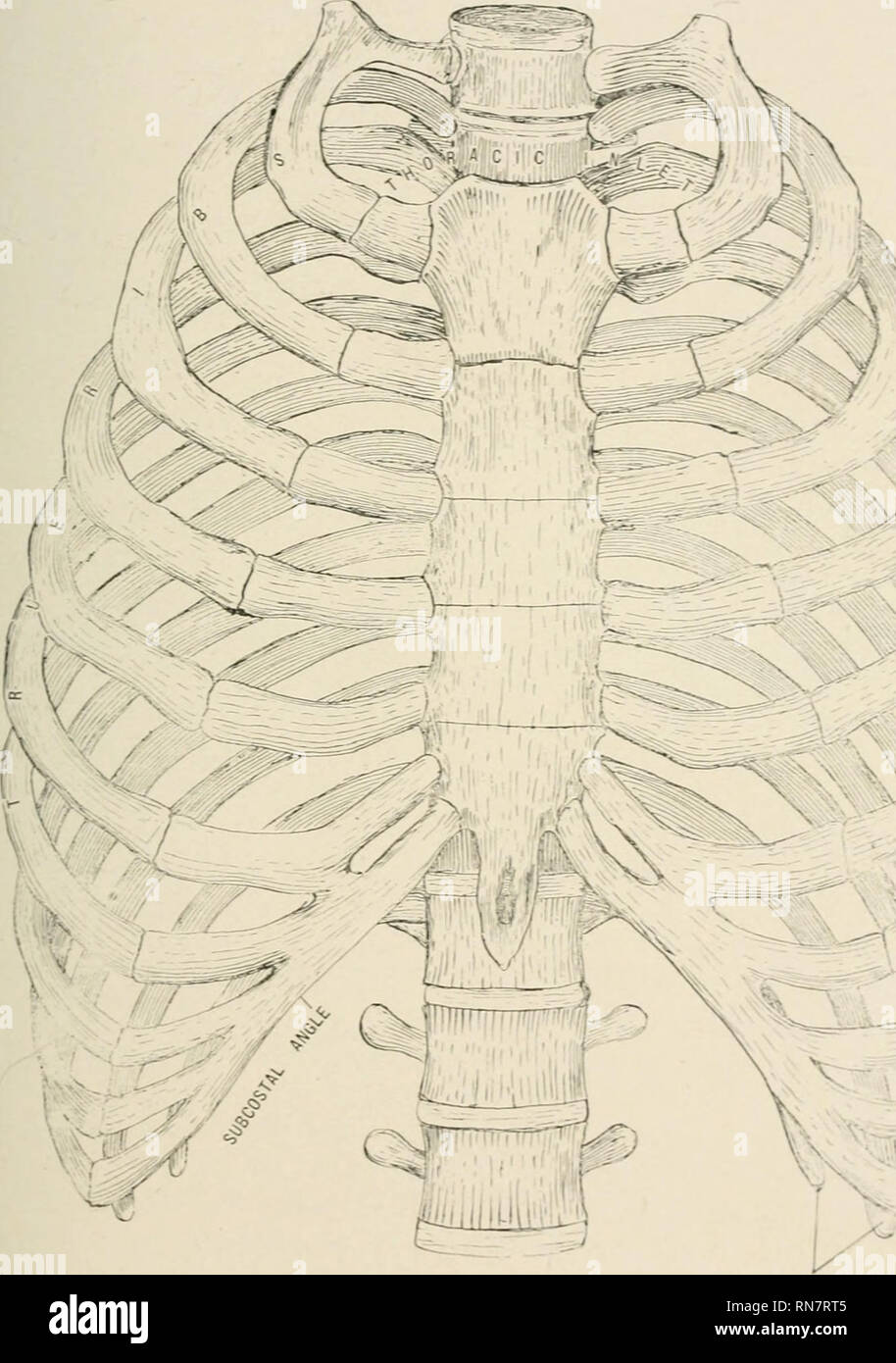 Rns system hi-res stock photography and images - Alamy