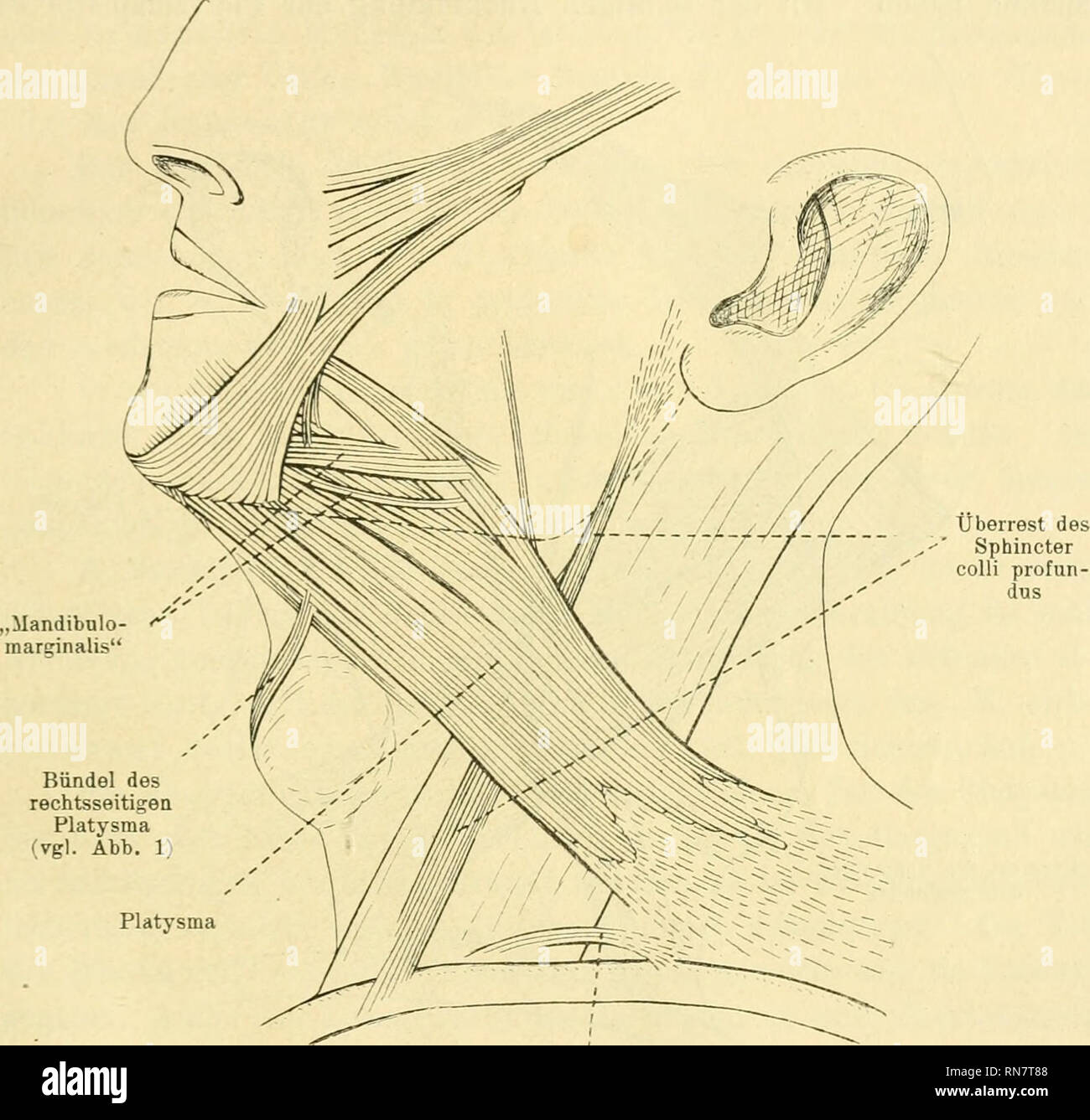 Abspaltungen hi-res stock photography and images - Alamy