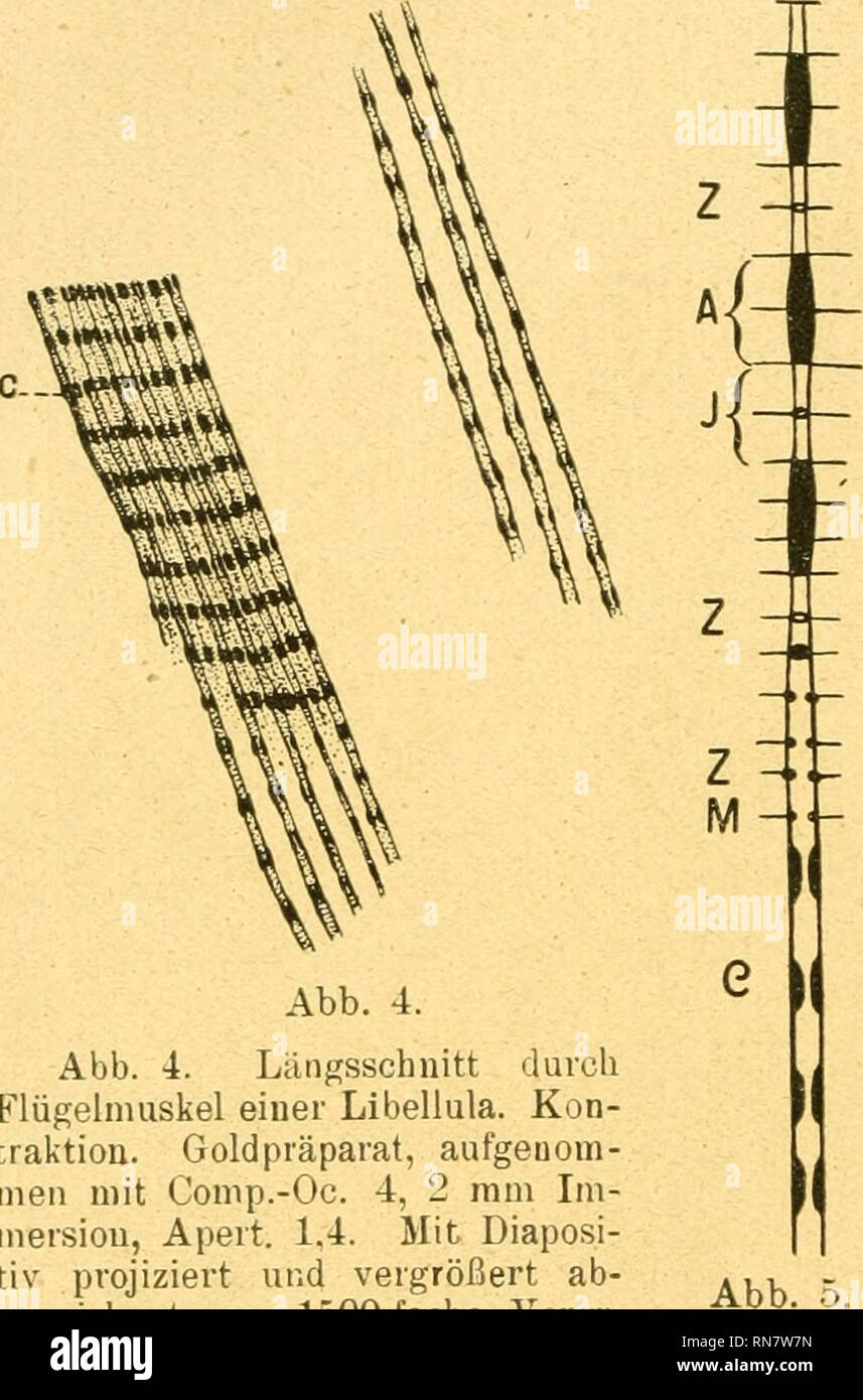 Anisotrop hi-res stock photography and images - Alamy