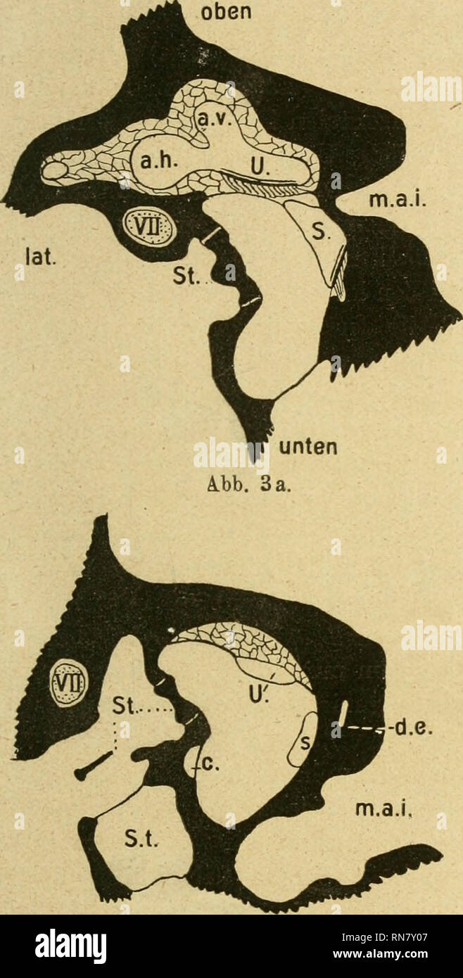 Eaum hi-res stock photography and images - Alamy