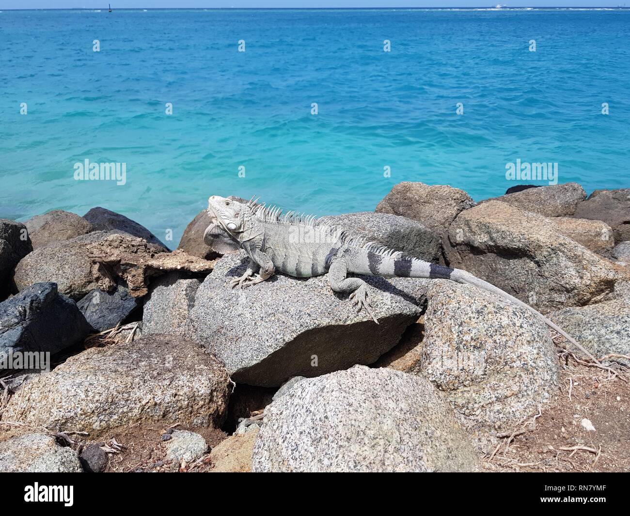 Hello neighbour hi-res stock photography and images - Alamy