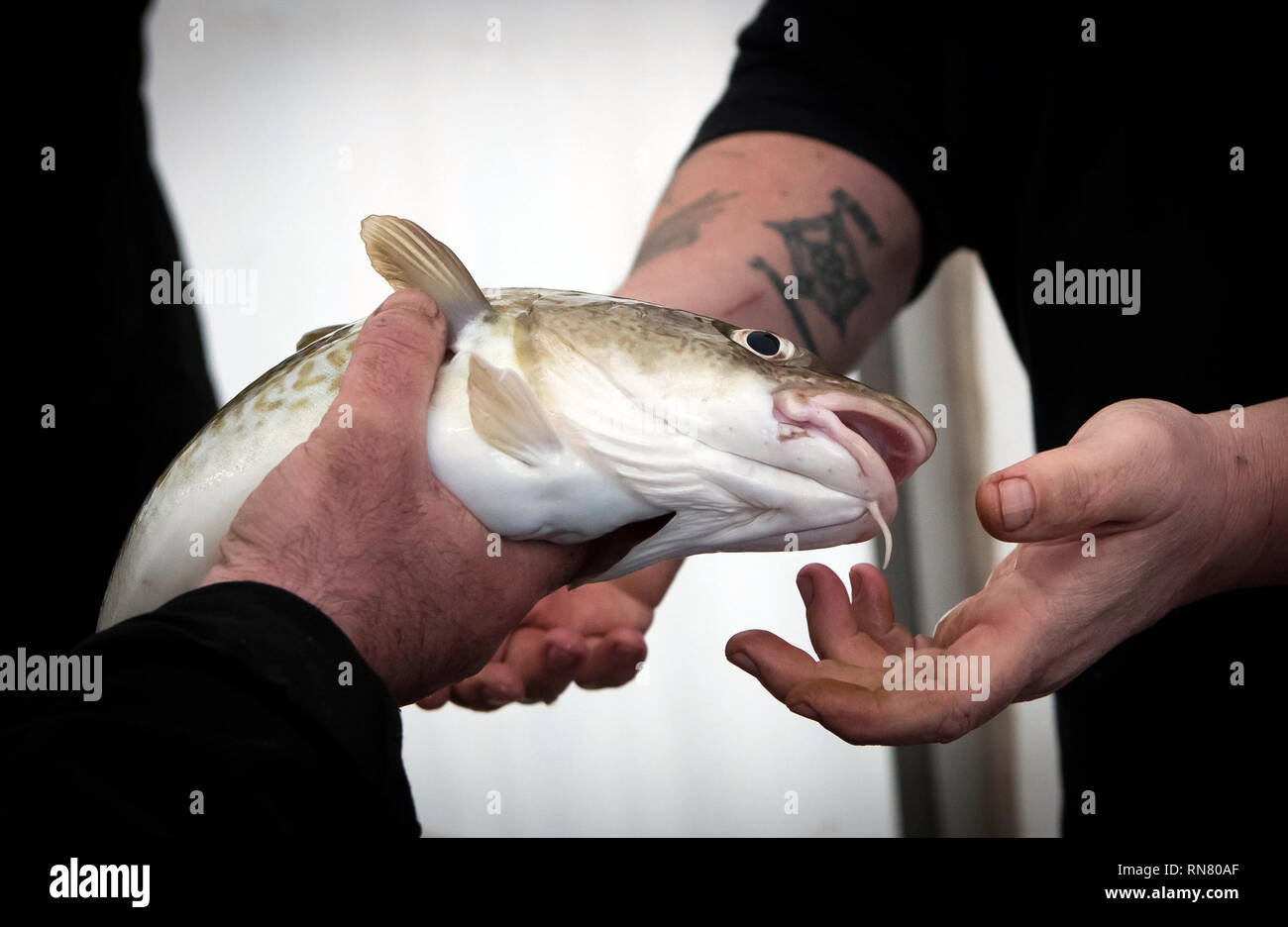 Europes largest beach angling festival hi-res stock photography and ...