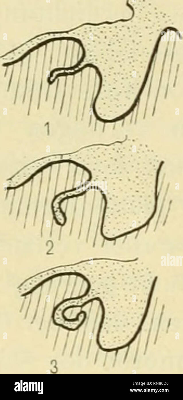 Ganze anlage hi-res stock photography and images - Alamy