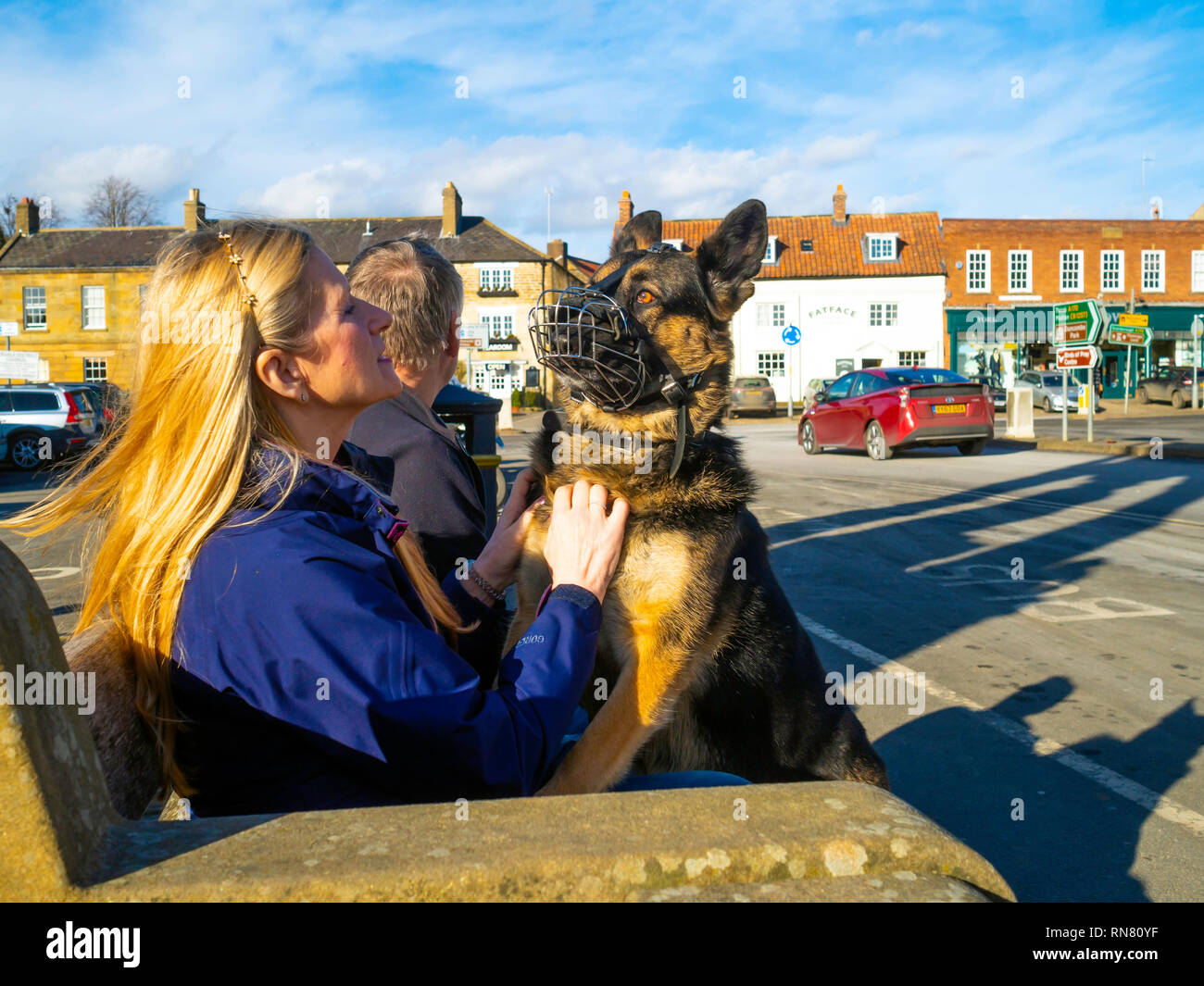 White alsatian hi-res stock photography and images - Alamy