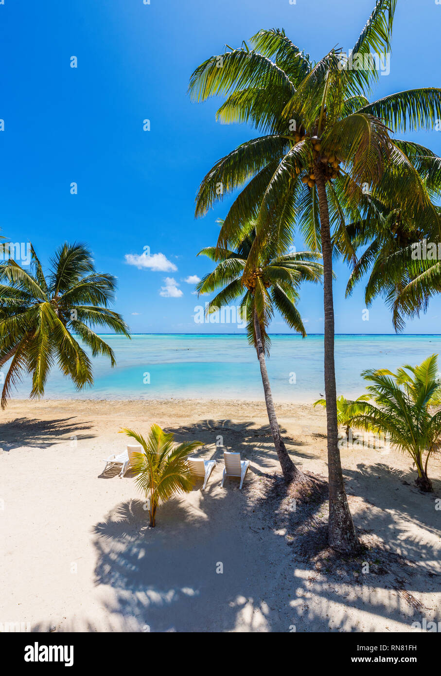 Stunning tropical Aitutaki island with palm trees, white sand ...