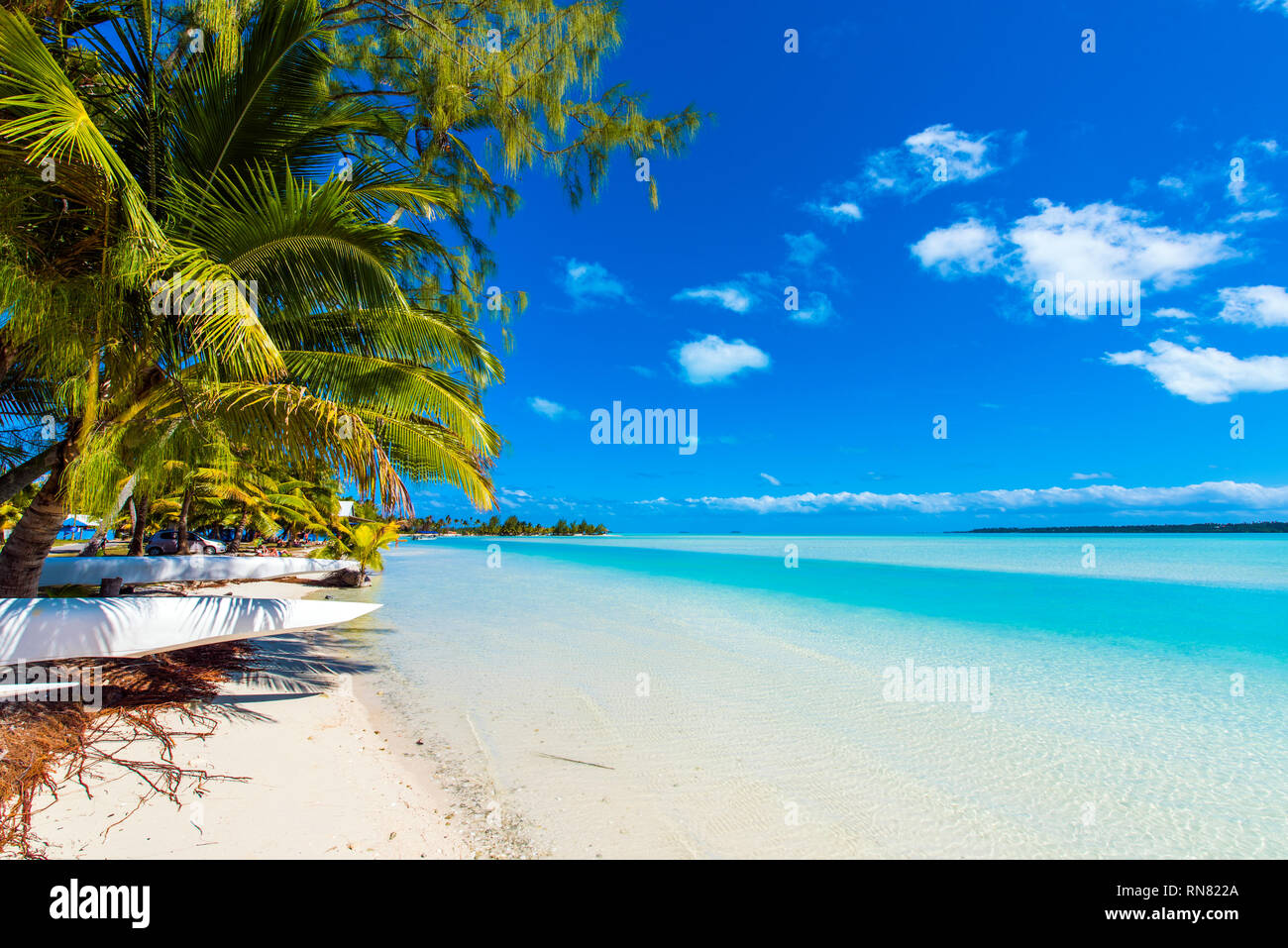 Stunning tropical Aitutaki island with palm trees, white sand ...