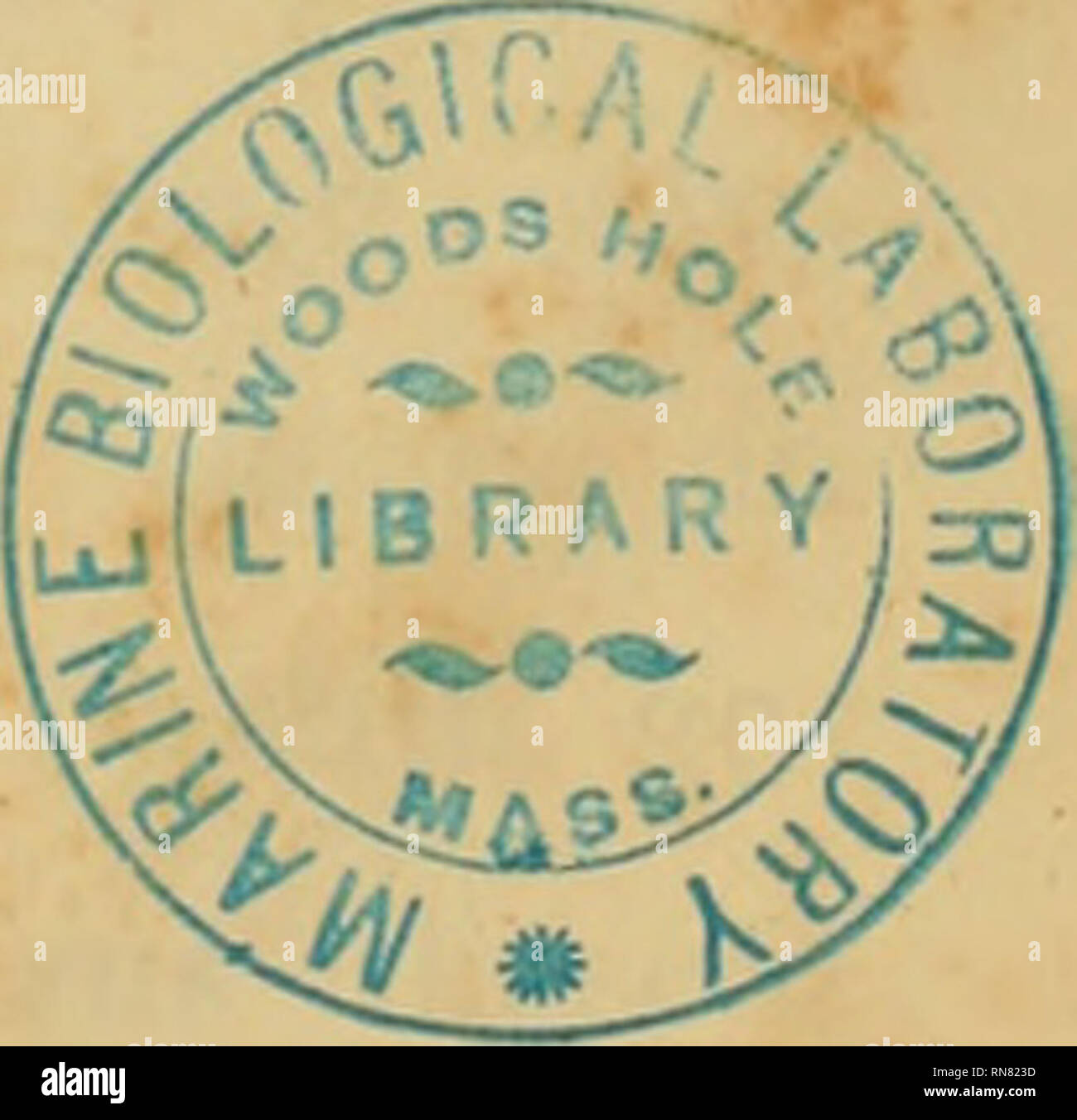 Franz leydig hi-res stock photography and images - Alamy