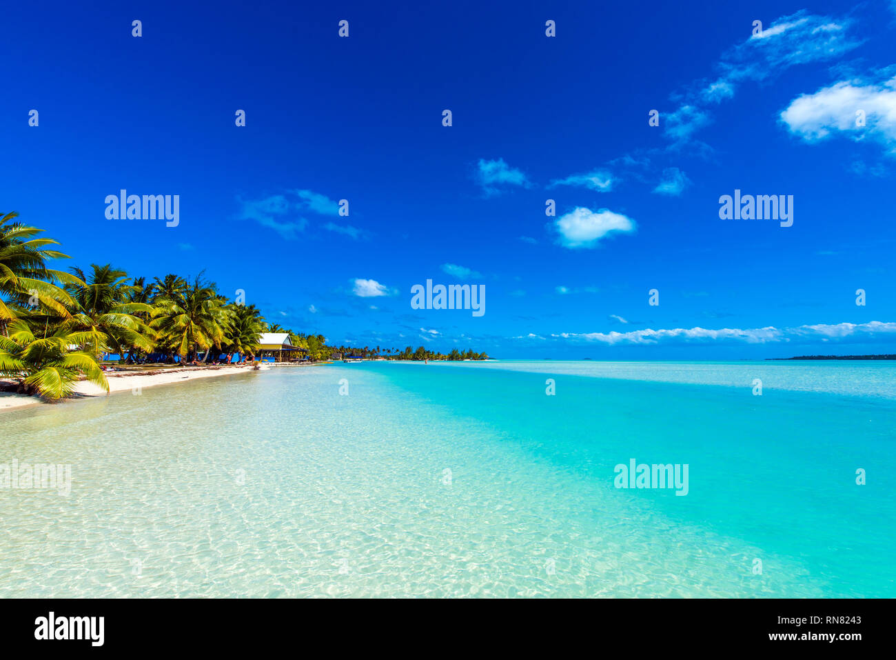 Stunning tropical Aitutaki island with palm trees, white sand ...