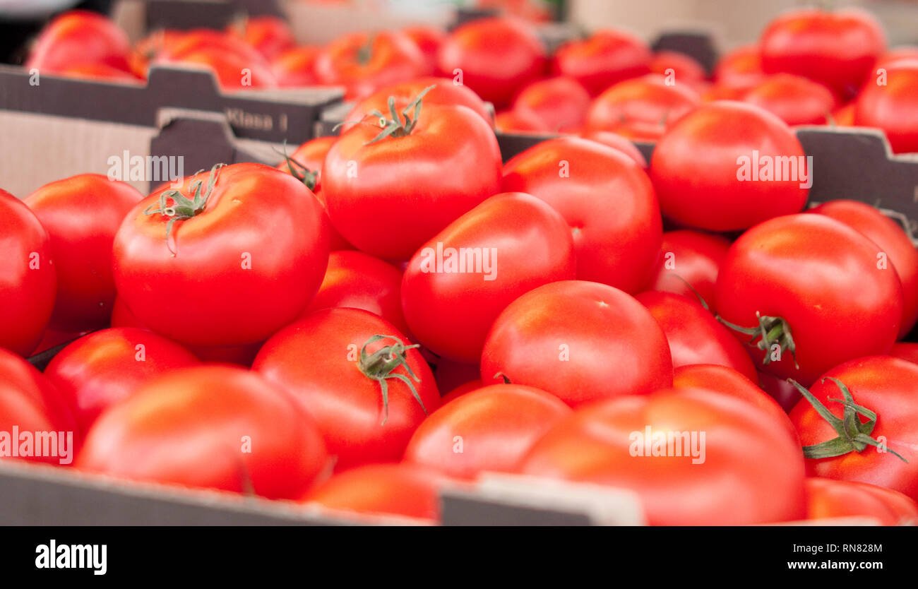 High resolution image ripe tomatoes hi-res stock photography and images ...