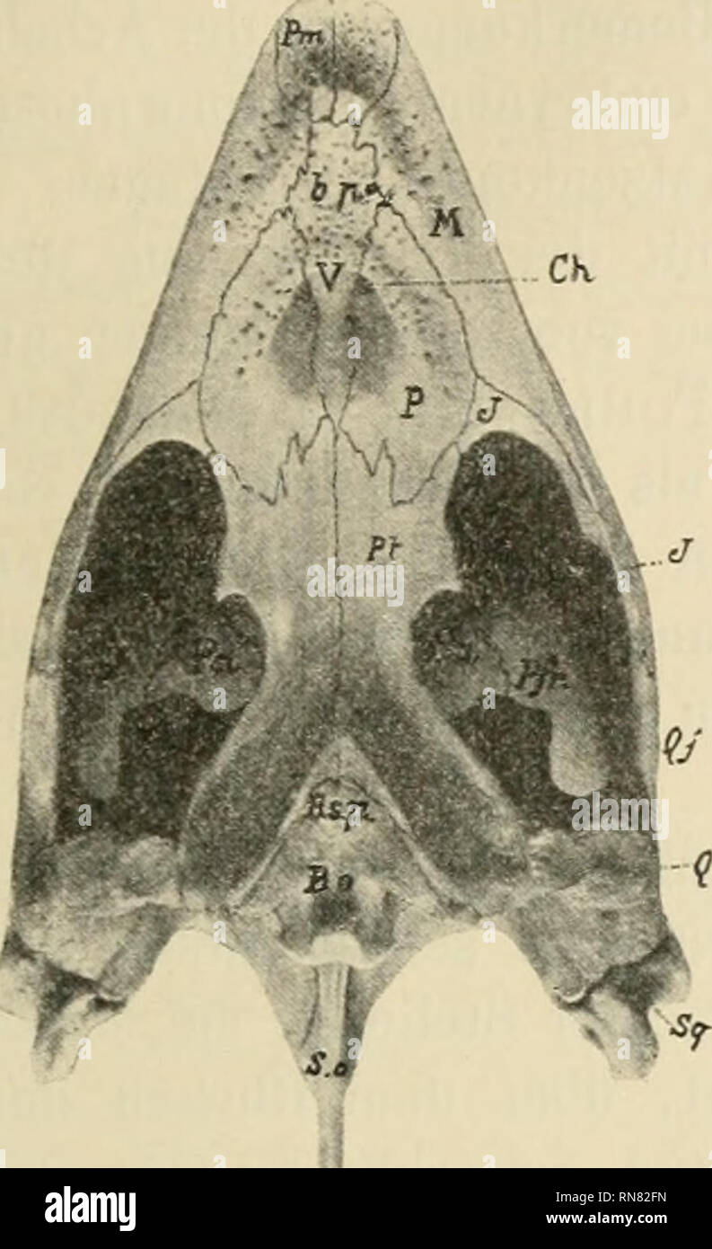 Abanderung hi-res stock photography and images - Alamy