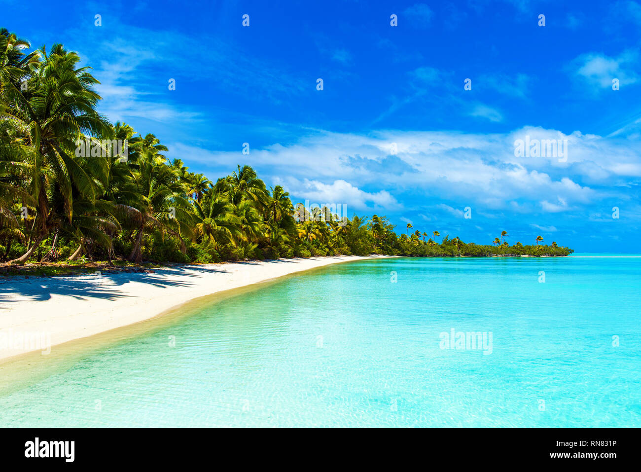 Stunning tropical Aitutaki island with palm trees, white sand ...