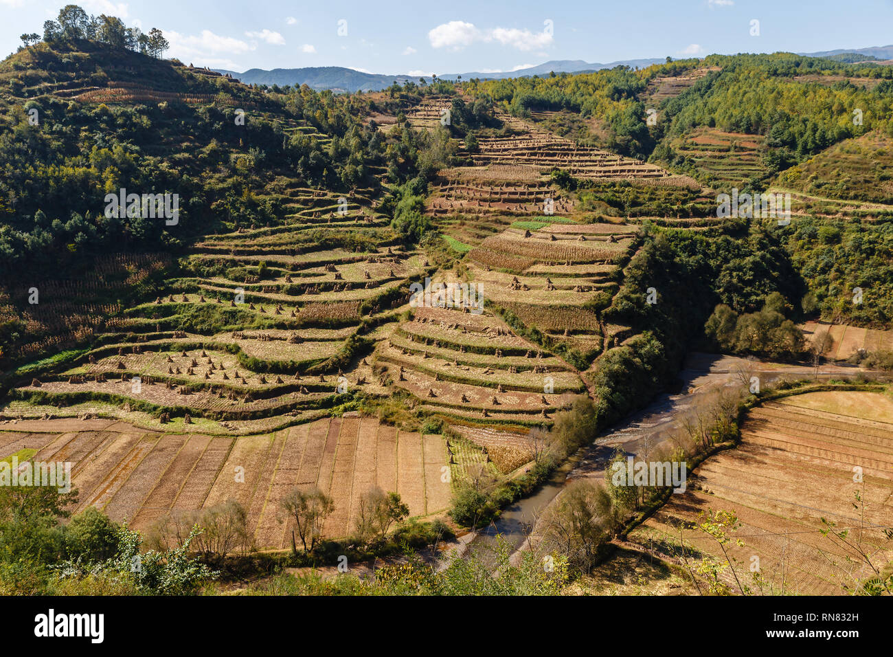 empty corn fields on the mountainside after harvest, Yunnan Province ...