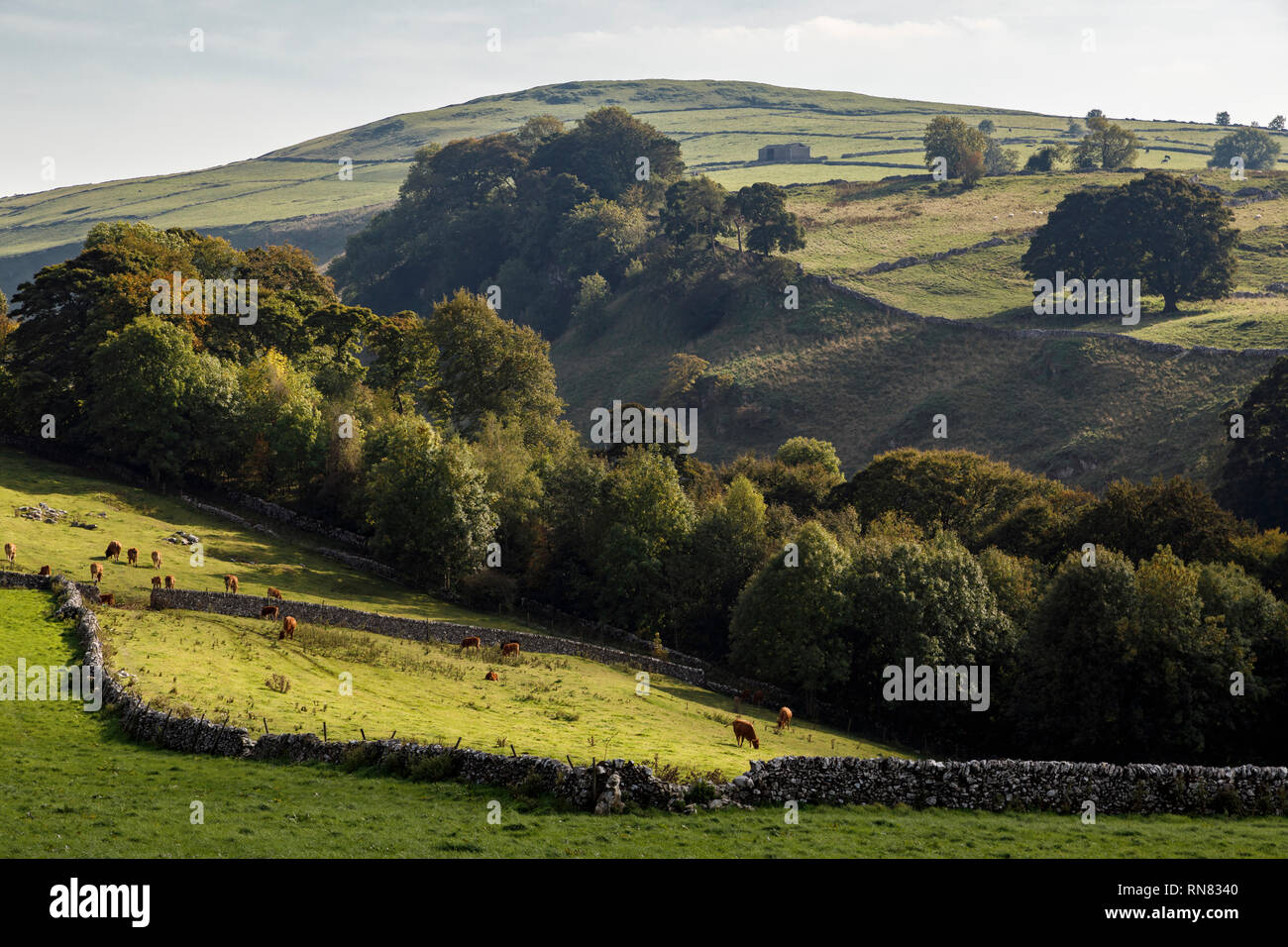 Wolfscote Dale, Dove Valley, Peak District National Park, Derbyshire ...