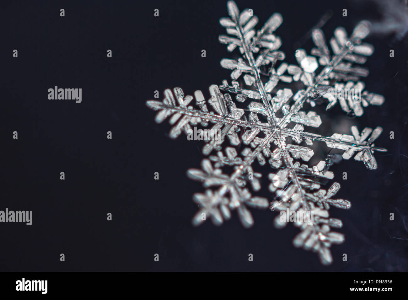 Real snow flake hi-res stock photography and images - Alamy