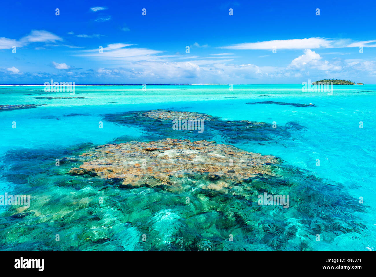 View of the coral reef, Aitutaki island, Cook Islands, South Pacific ...