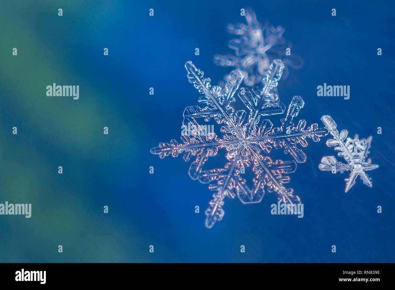 Single snow flake on blue and green background Stock Photo - Alamy