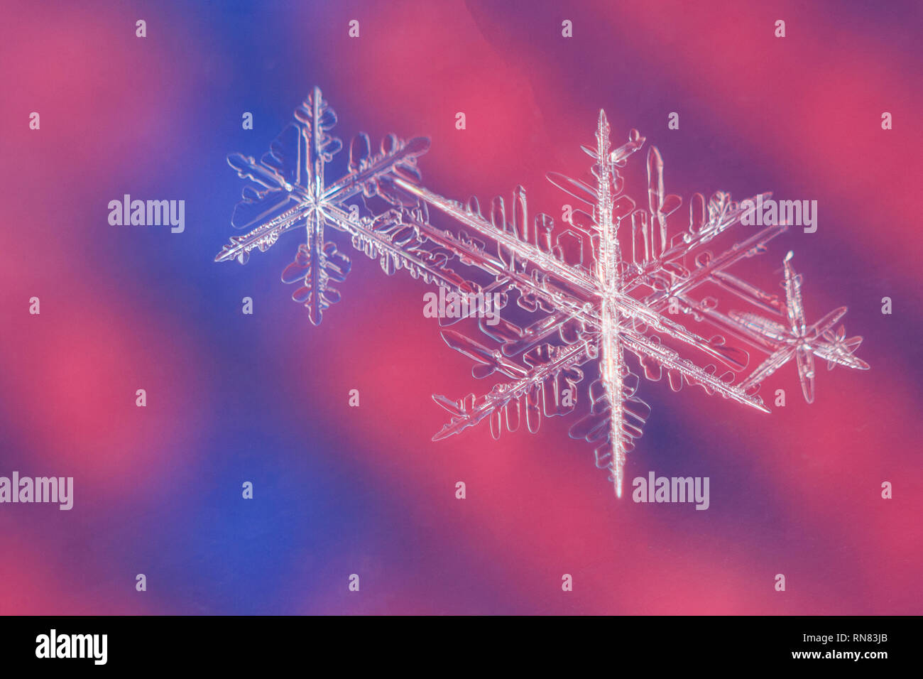 Snow flakes on colorful background Stock Photo - Alamy
