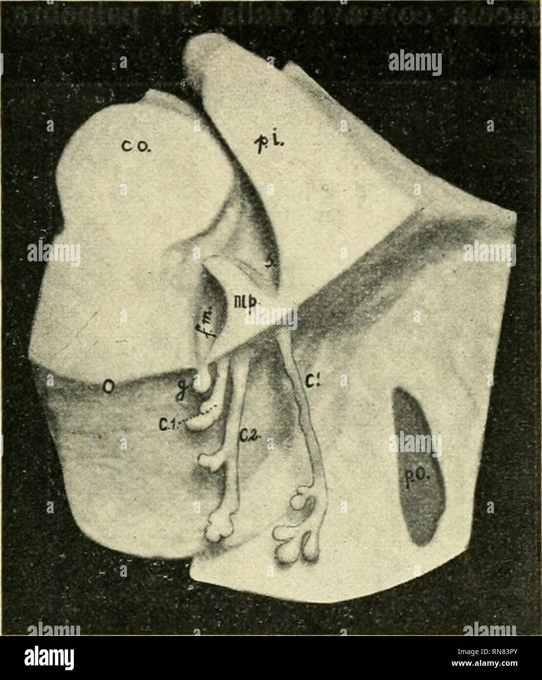 Curva concava hi-res stock photography and images - Alamy