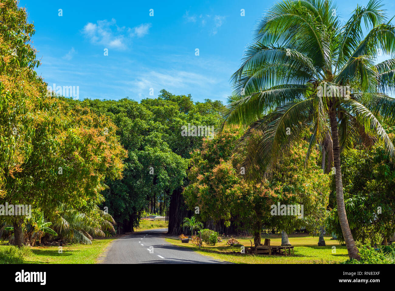 Cook islands green hi-res stock photography and images - Alamy