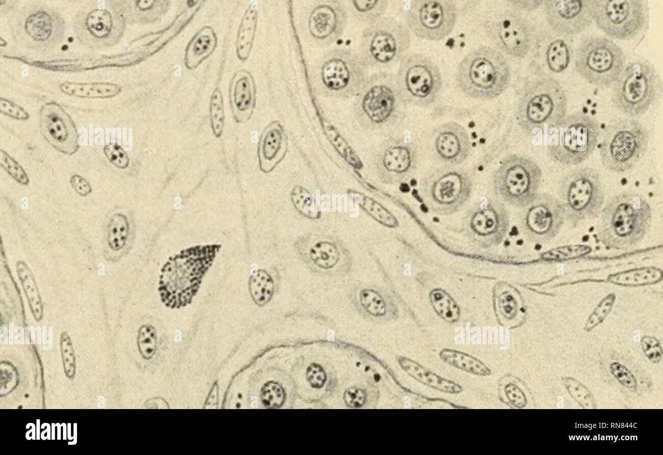 Sessuali hi-res stock photography and images - Alamy