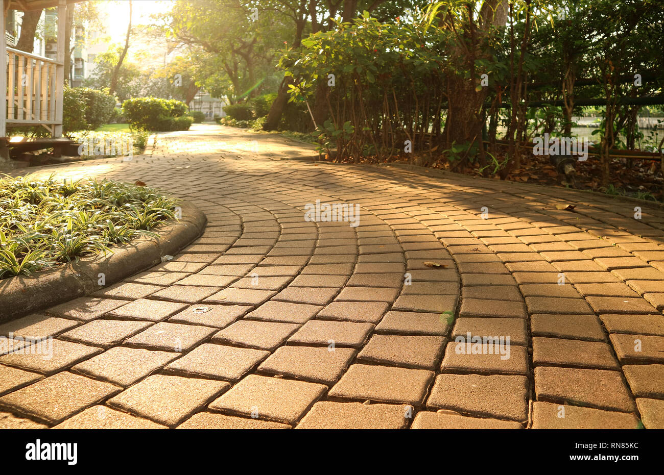 Garden's curving stone block pathway in the gentle sunlight Stock Photo ...