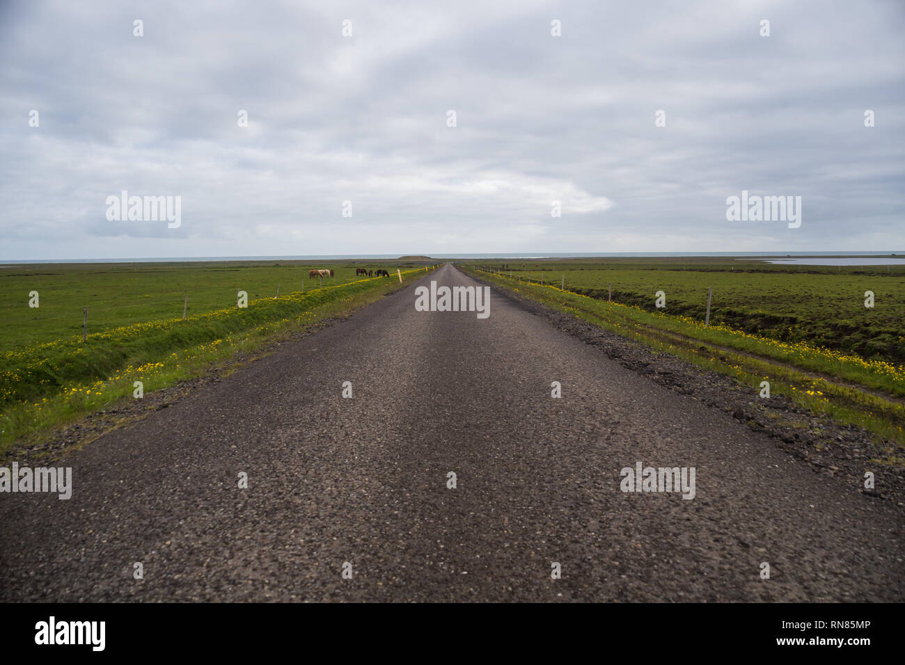 Wide view nordic countryside hi-res stock photography and images - Alamy