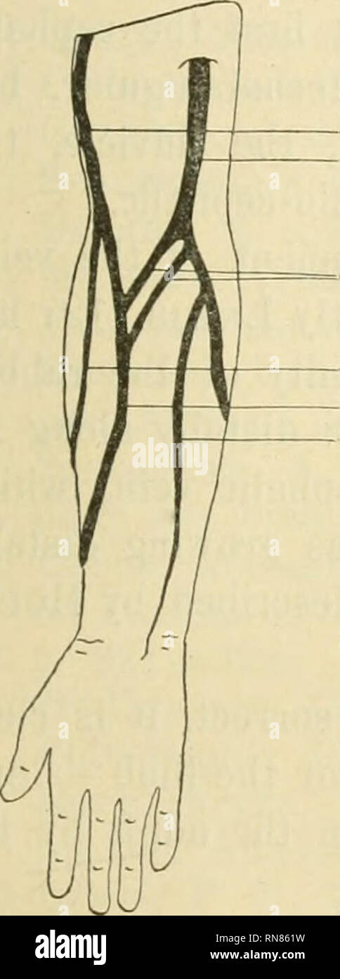 . Anatomischer Anzeiger. Anatomy, Comparative; Anatomy, Comparative ...
