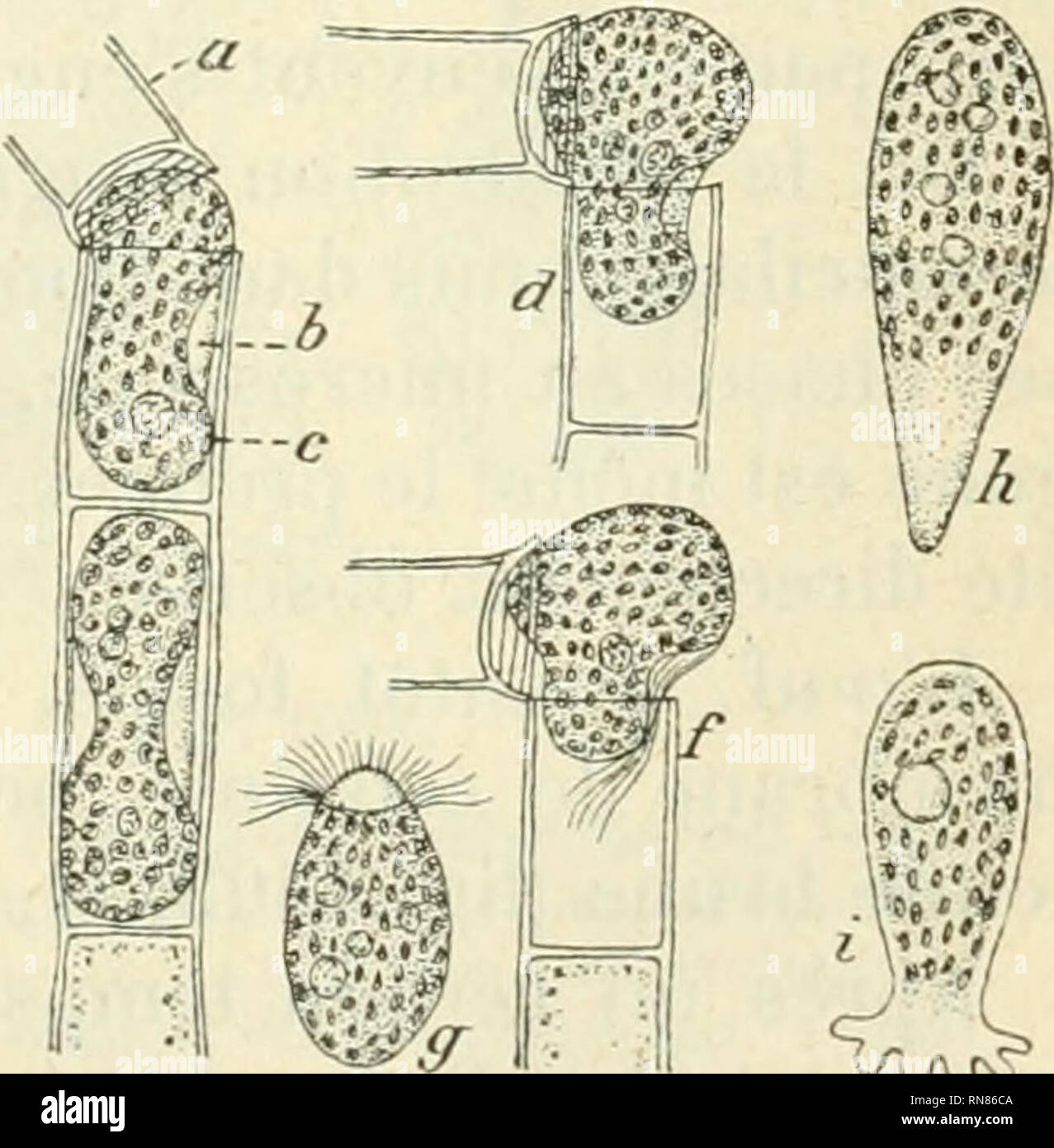 Intercalaire hi-res stock photography and images - Alamy