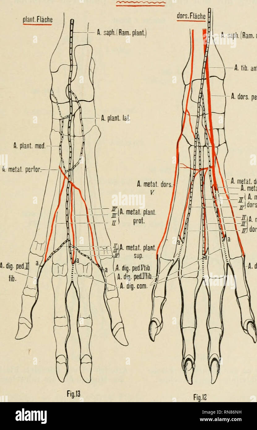 Fundae hi-res stock photography and images - Alamy