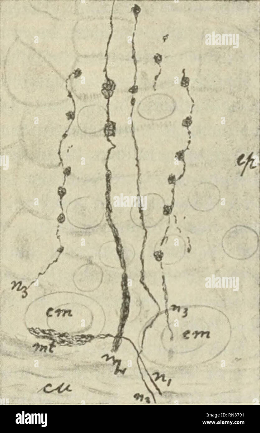 Organische verbindung hi-res stock photography and images - Alamy