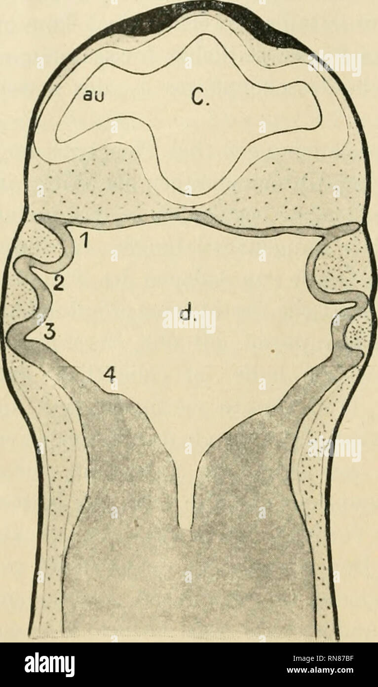 Parallelepipedon High Resolution Stock Photography and Images - Alamy
