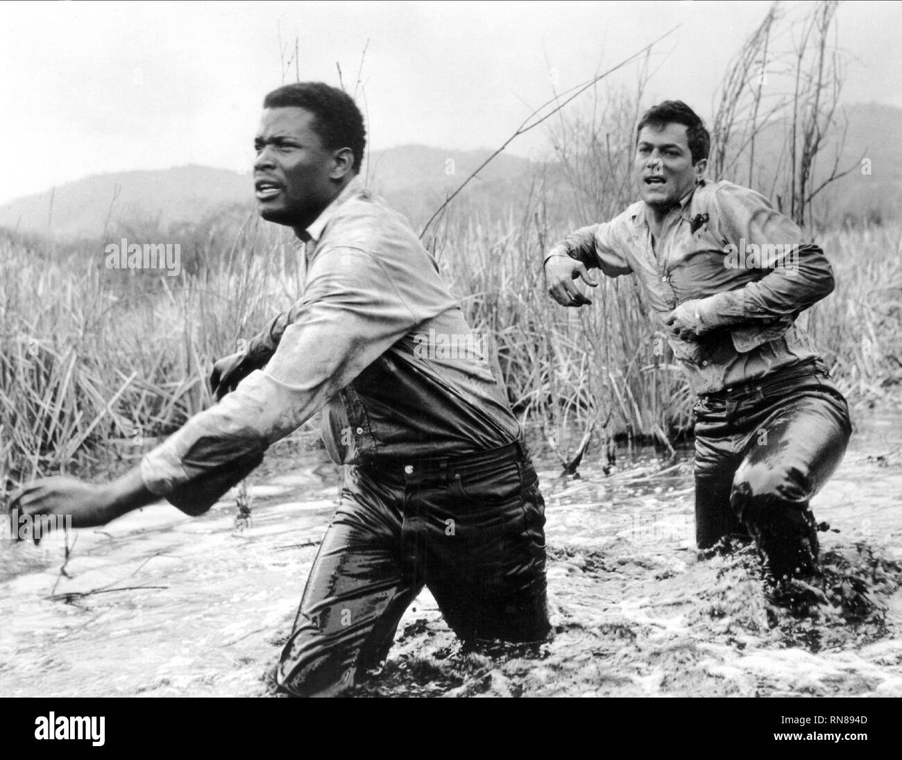 The defiant ones 1958 tony curtis hi-res stock photography and images ...