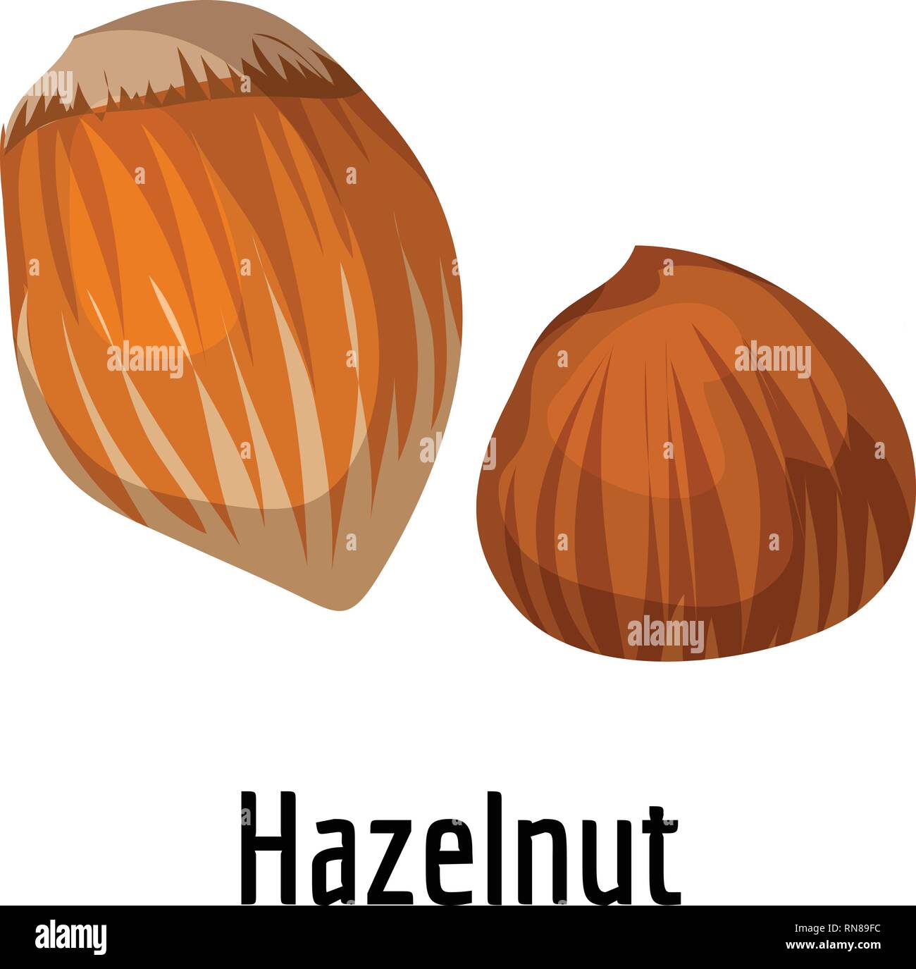 Hazelnut icon. Cartoon of hazelnut vector icon for web design isolated ...