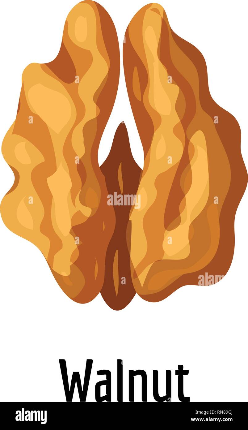 Walnut icon. Cartoon of walnut vector icon for web design isolated on ...