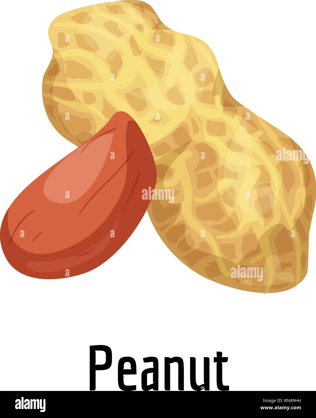 Peanut icon. Cartoon of peanut vector icon for web design isolated on ...