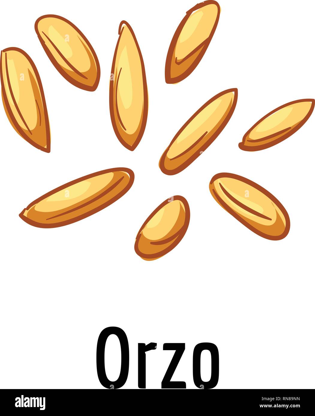 Orzo icon. Cartoon of orzo vector icon for web design isolated on white ...